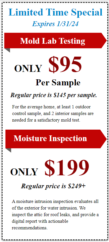 Mold Testing in VA, MD, DC